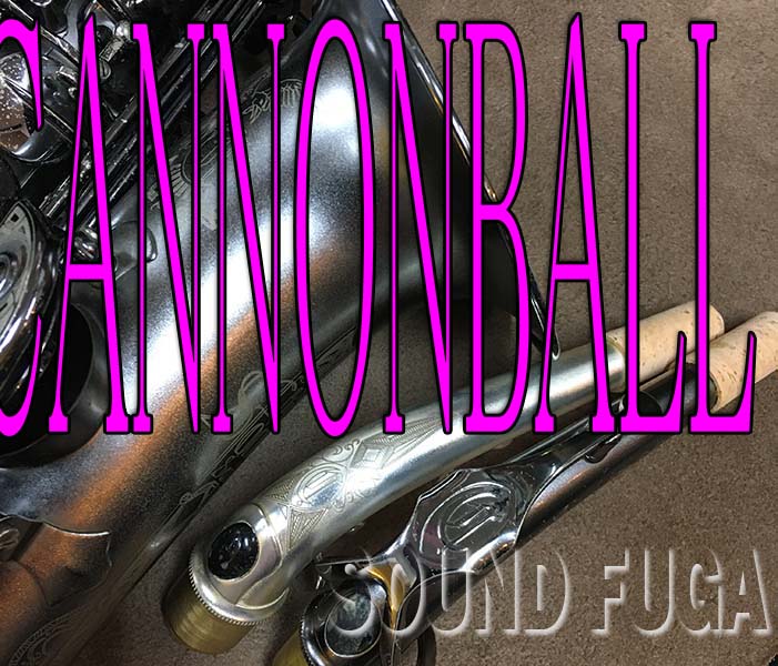 CANNONBALL A5-BiceB Raven アルトサックス